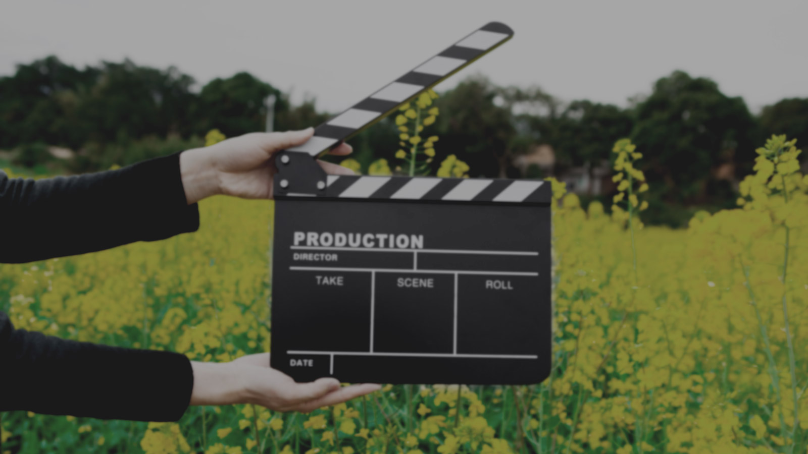 Cinema Social | 株式会社ワンダーラボラトリー